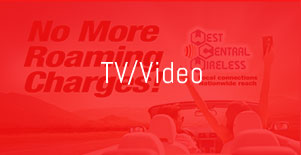 Welcome :: Stone Settle